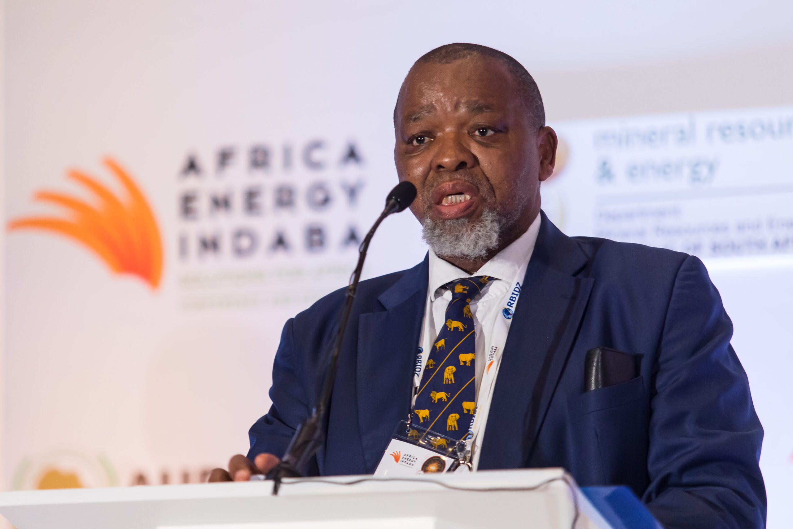 Africa Energy Indaba Unveils Essential Energy Solutions Amidst SA’s 31% ...
